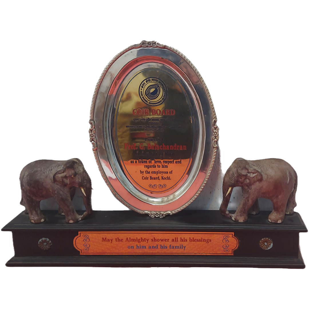 About Prof. G Balachandran